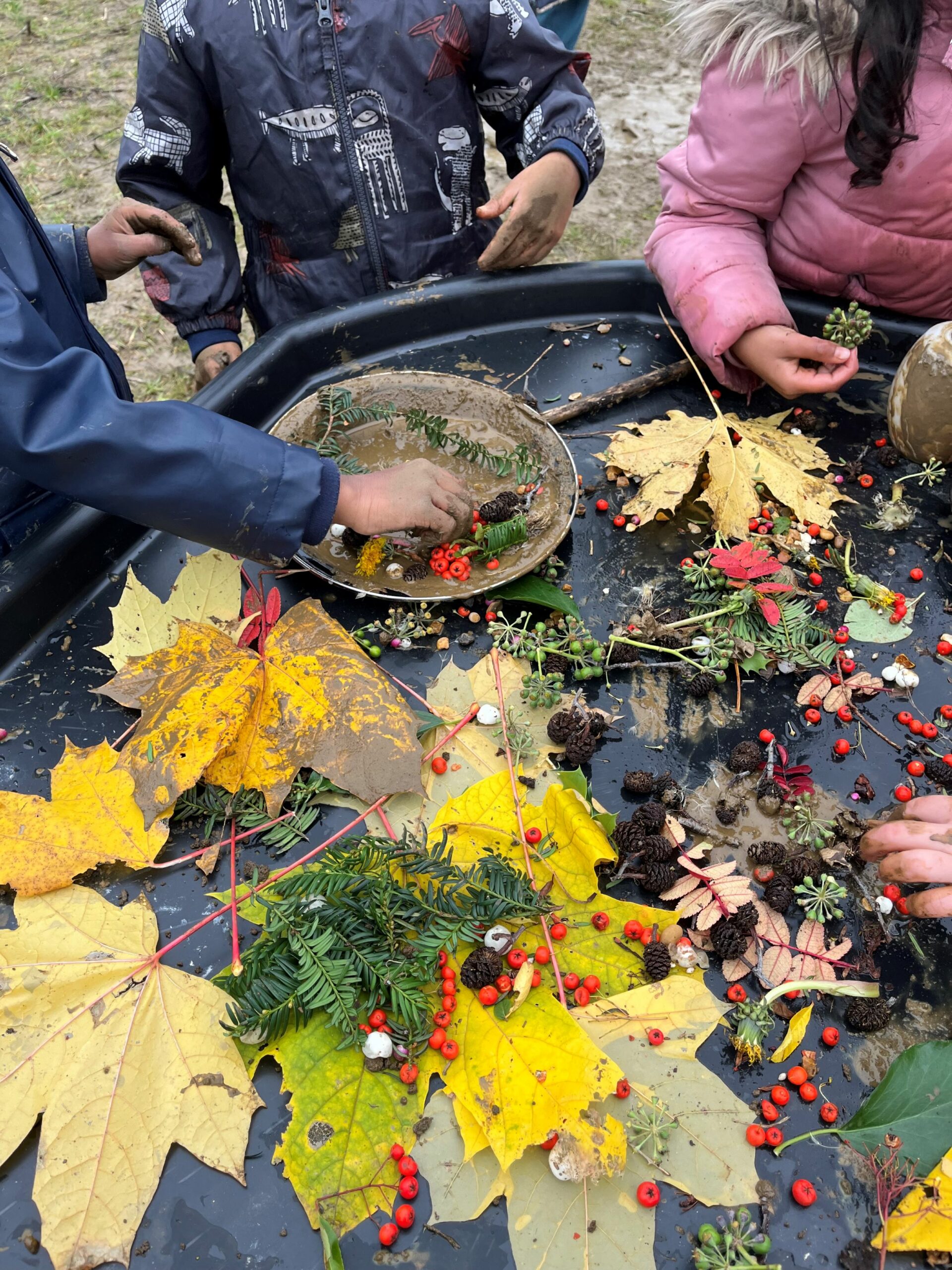 Forest School – Watling Primary School